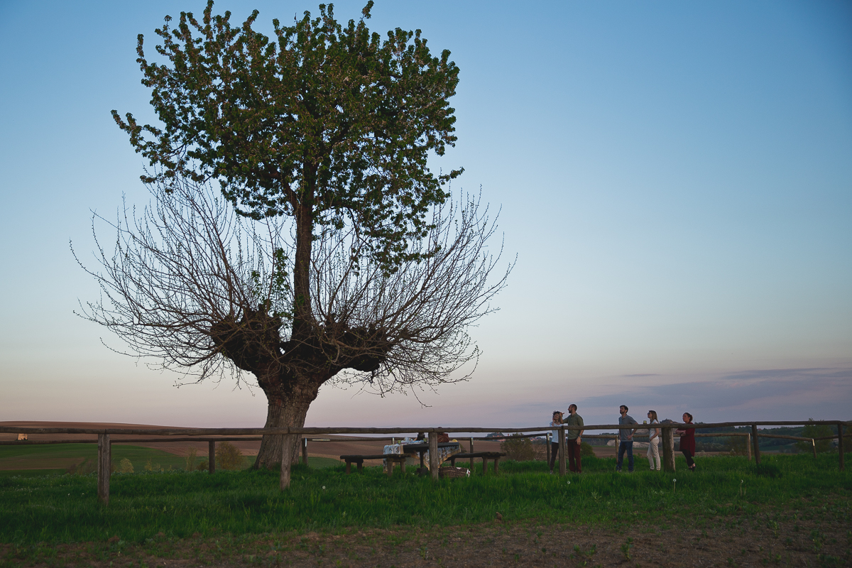 Movie Tellers: rassegna di cinema e degustazioni il 15 e 29 giugno al ...